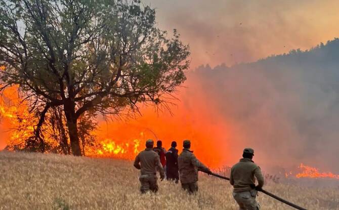 Intense wildfires raging across Turkey, killed about 10 firefighters ...