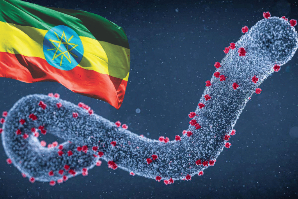 Ethiopia Confirms First Marburg Outbreak, as Fear and Vigilance ...
