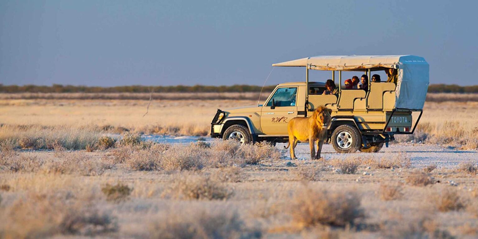 Namibia Is Africa’s Best Tourism Destination; Reshaping Lives ...