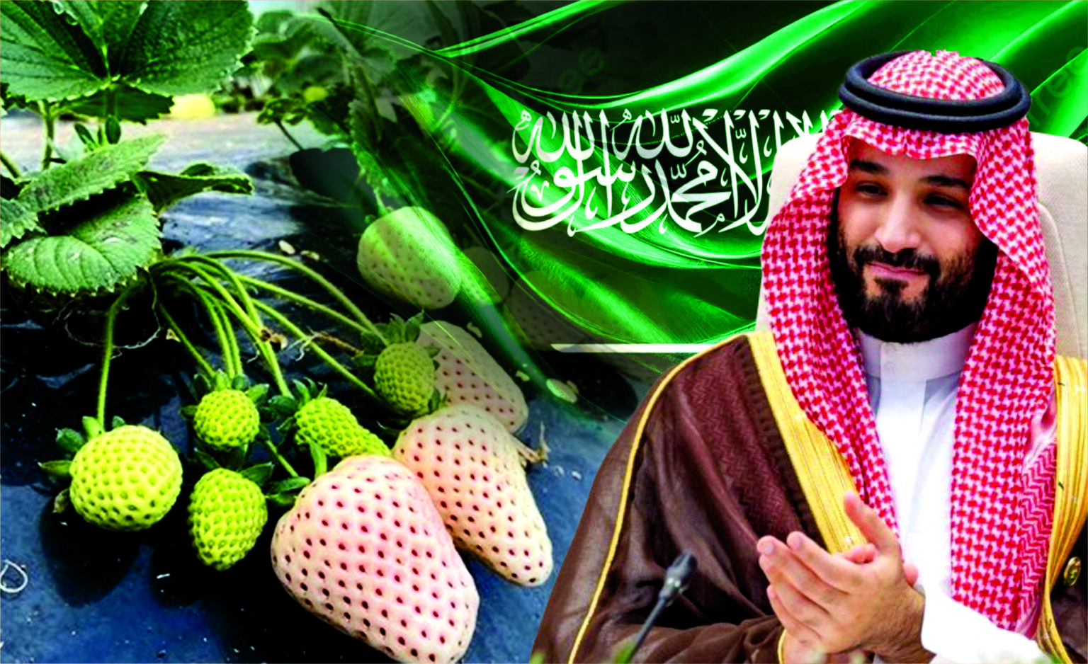 Saudi Arabia’s ‘White Gold’-(White Strawberries) Emerge as a Soft-Power ...